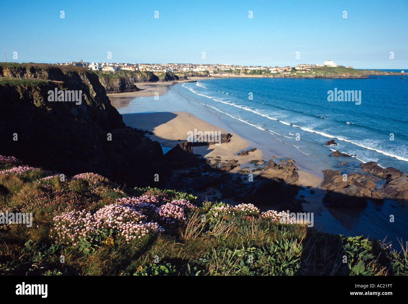 newquay cornwall summer clifftop flowers low tide beach england uk gb ...