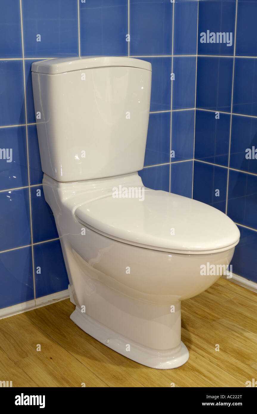 Domestic toilet WC Stock Photo - Alamy