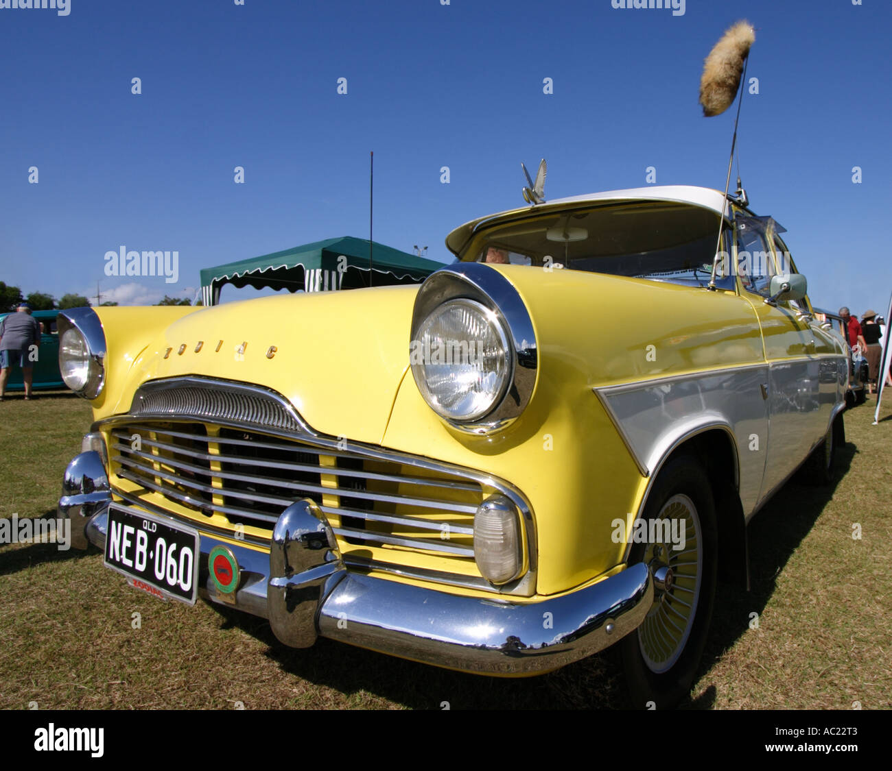 YELLOW AND WHITE ZEPHYR CAR WITH FOXTAIL HORIZONTAL BAPDB7915 Stock ...