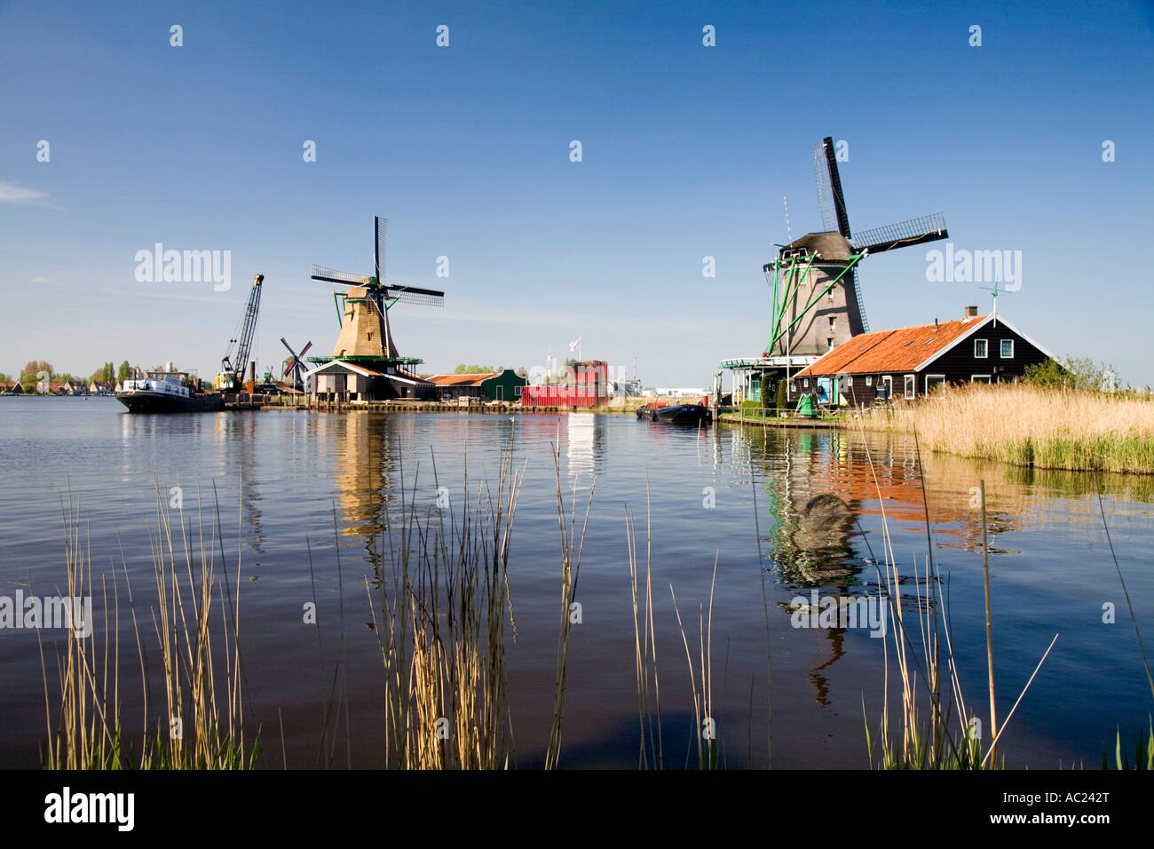 Historical windmills near Amsterdam in Holland, Europe Stock Photo - Alamy