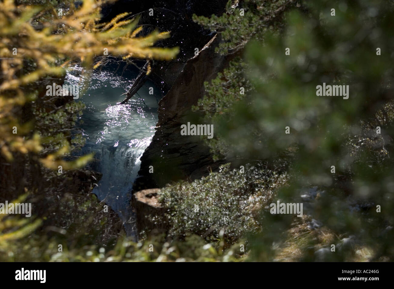 mountain stream, glacial water, Italy Stock Photo - Alamy