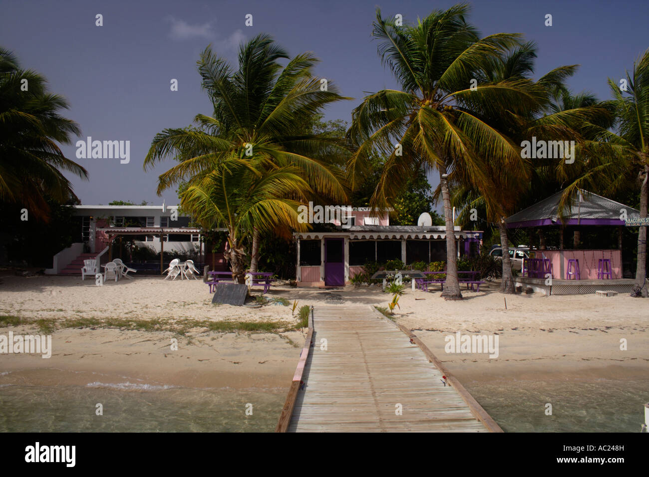 Mongoose caribbean hi-res stock photography and images - Alamy