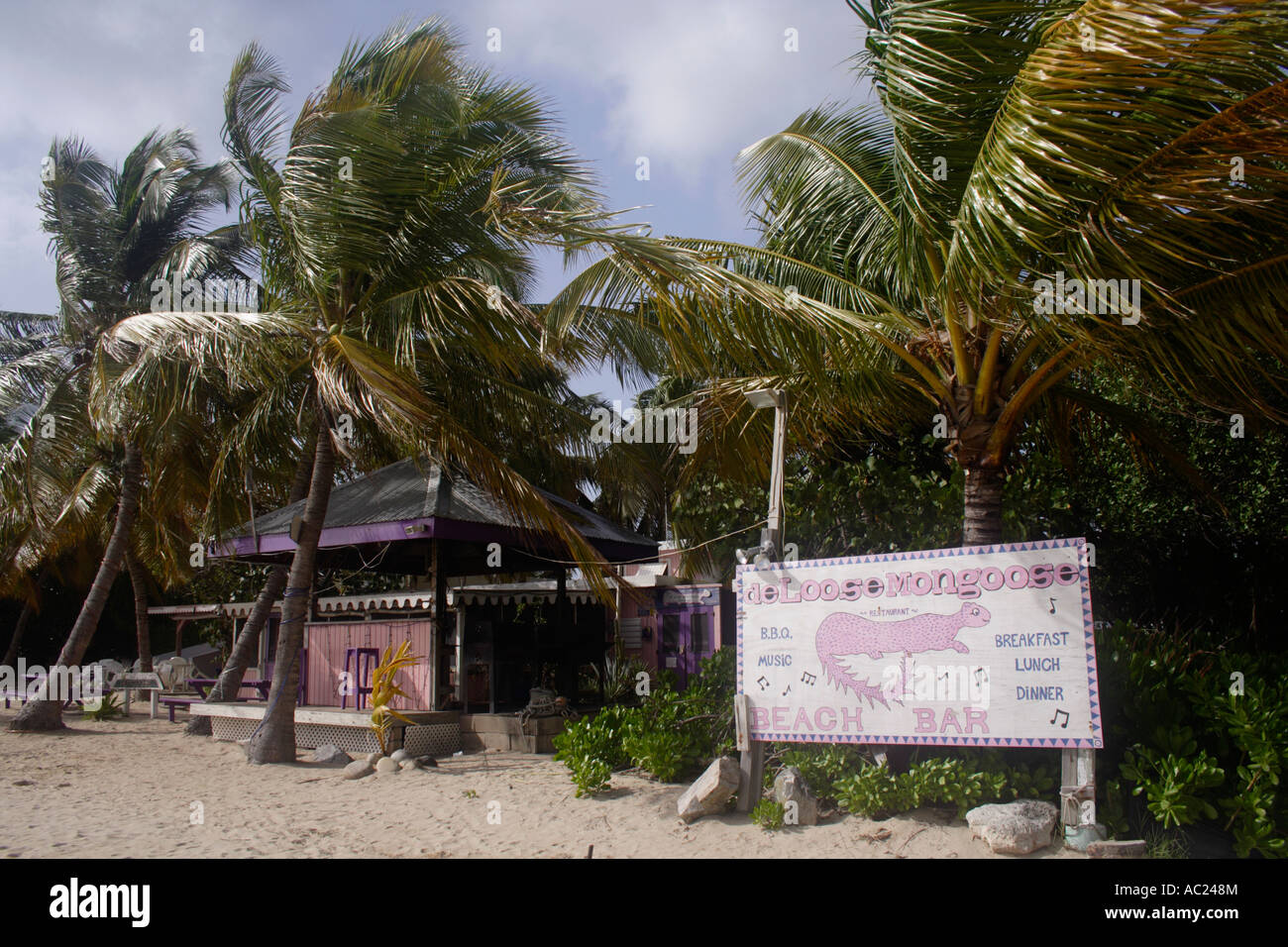 Mongoose caribbean hi-res stock photography and images - Alamy