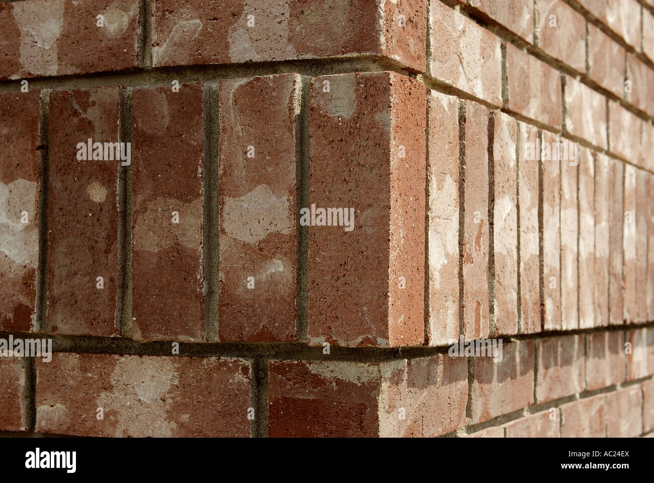 Wall of bricks with soldier row Stock Photo - Alamy
