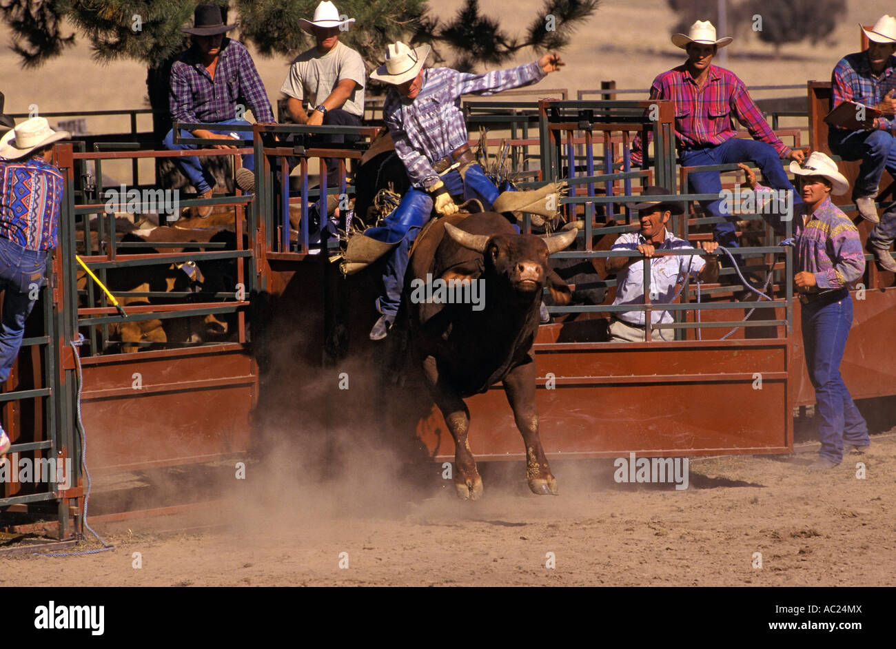 Rodeo, Merrijig, Victoria, Australia, Horizontal Stock Photo - Alamy