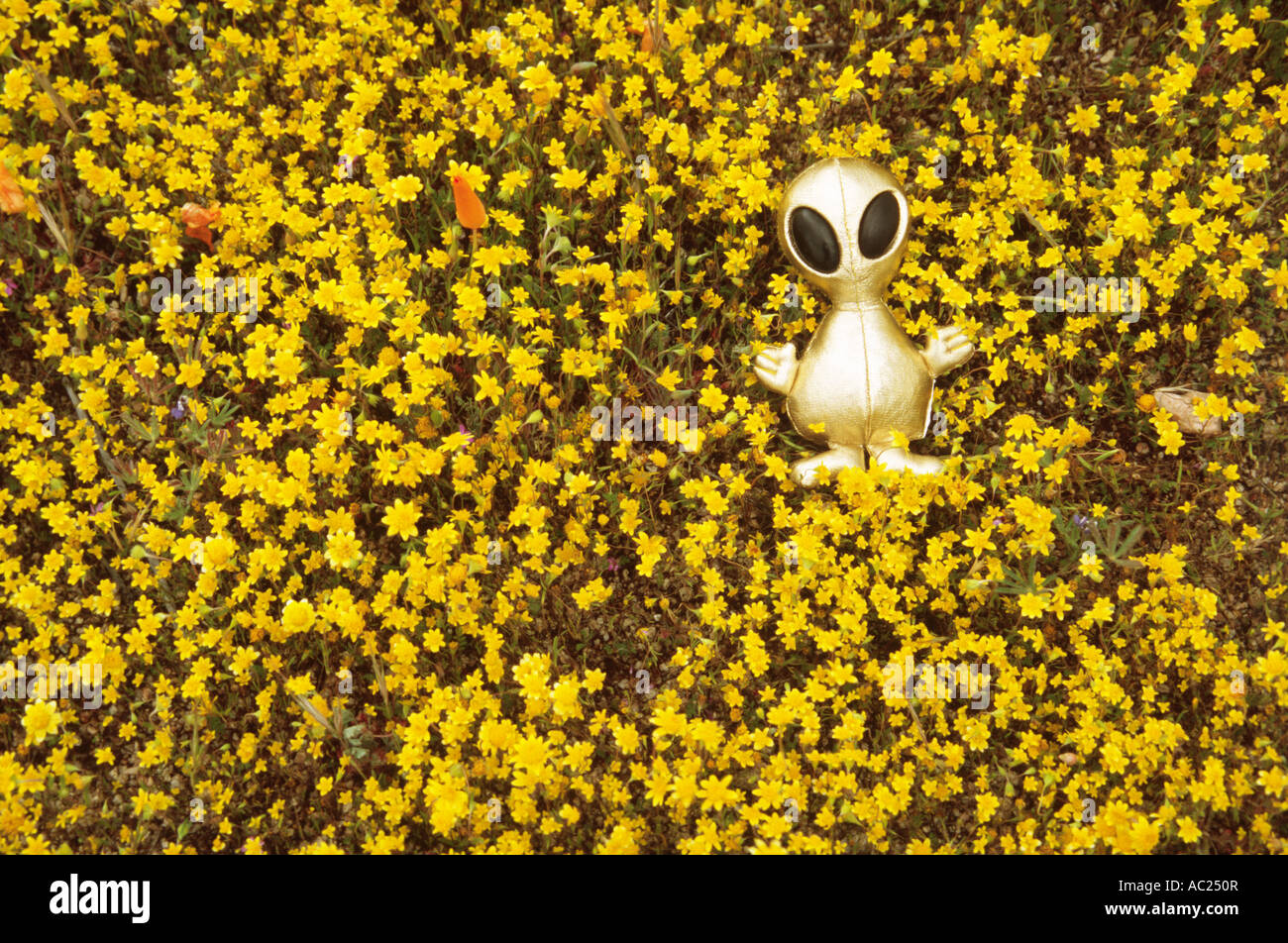 Gold alien doll lying in bed of yellow flowers Stock Photo - Alamy