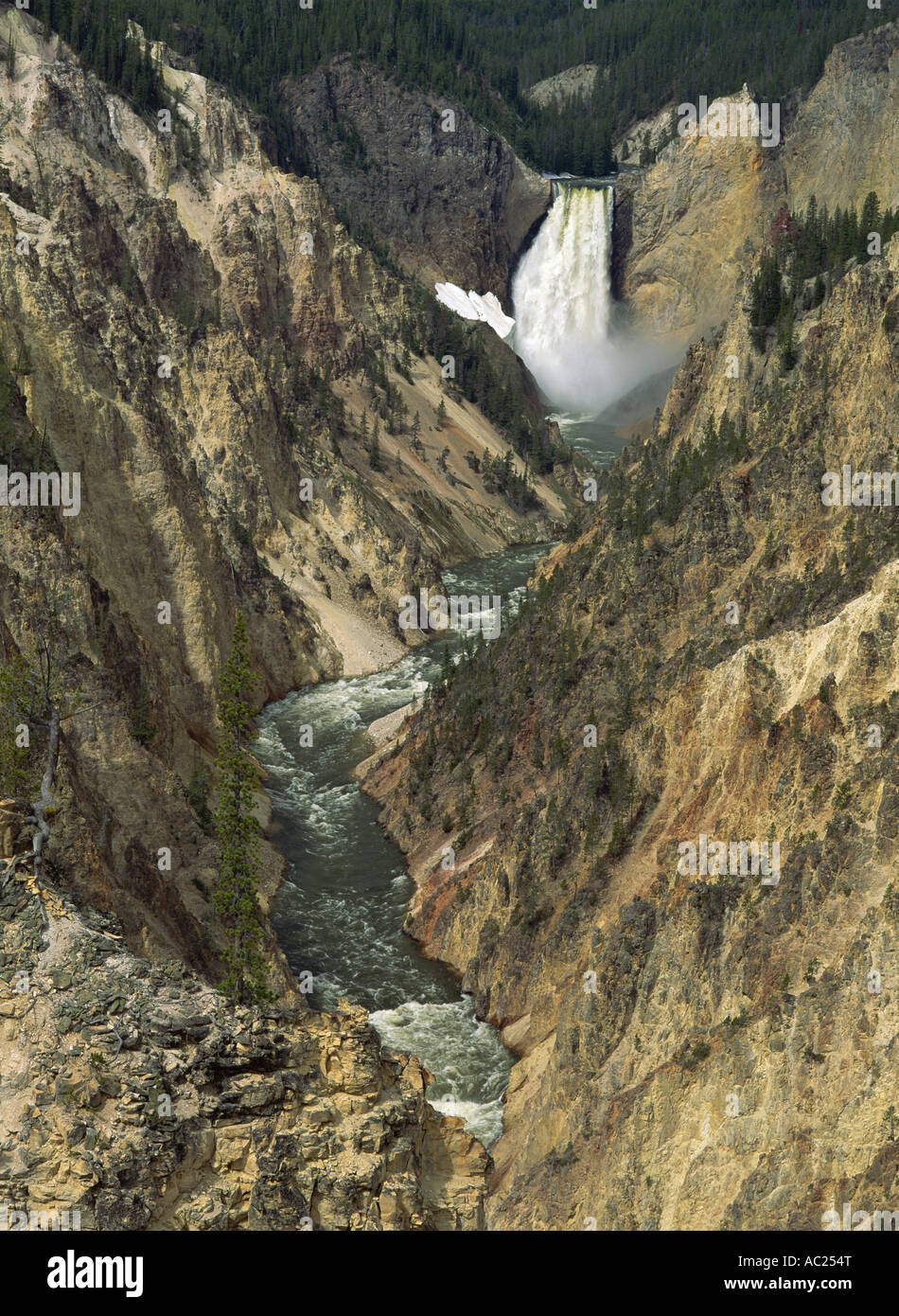 Mountain river valley Stock Photo - Alamy