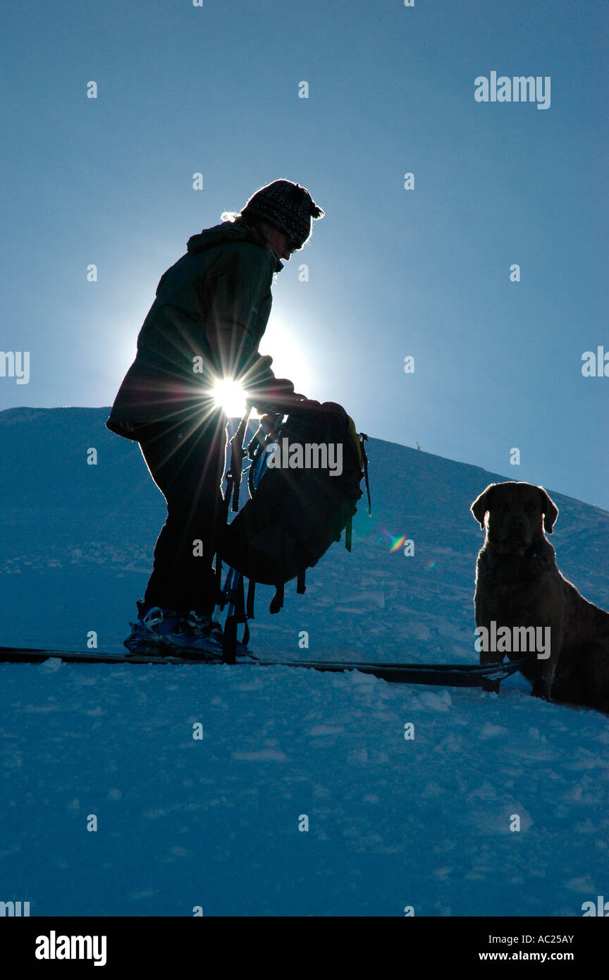Skiier with dog on mountain Stock Photo - Alamy