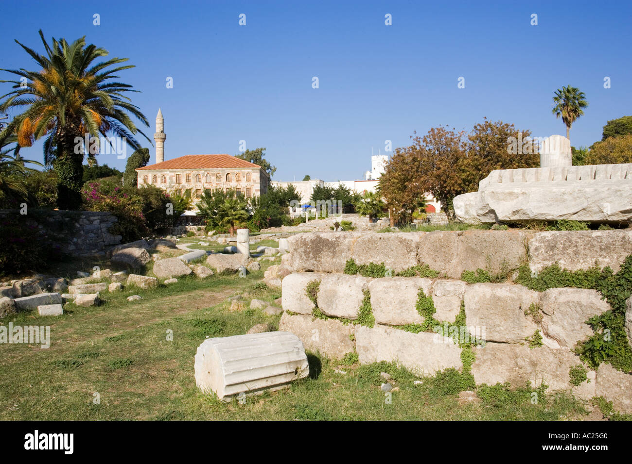 Remains of the Agora and a Mosque in background Kos Town Kos Greece ...