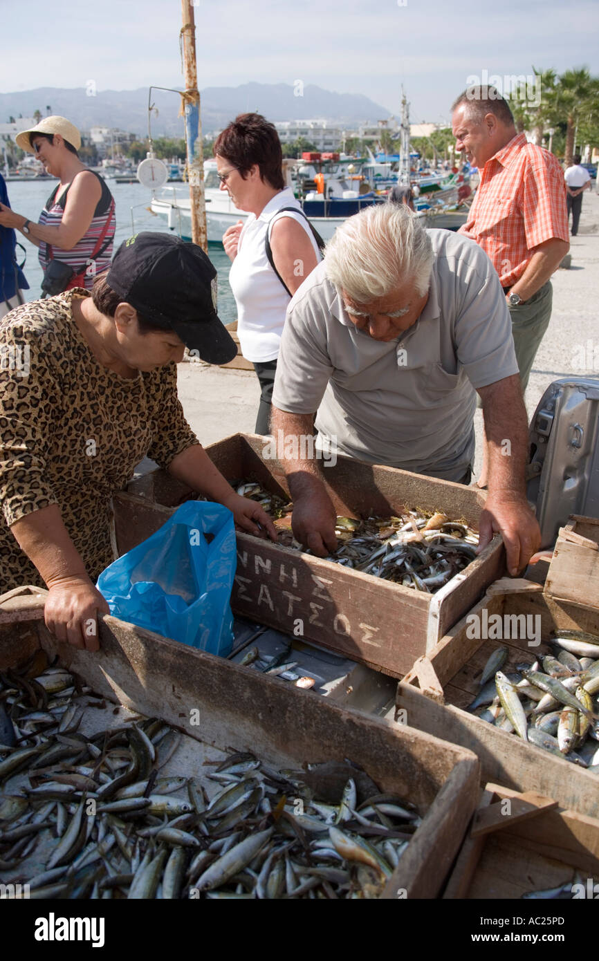 People sorting fishing at Madraki harbour Kos Town Kos Greece Stock ...