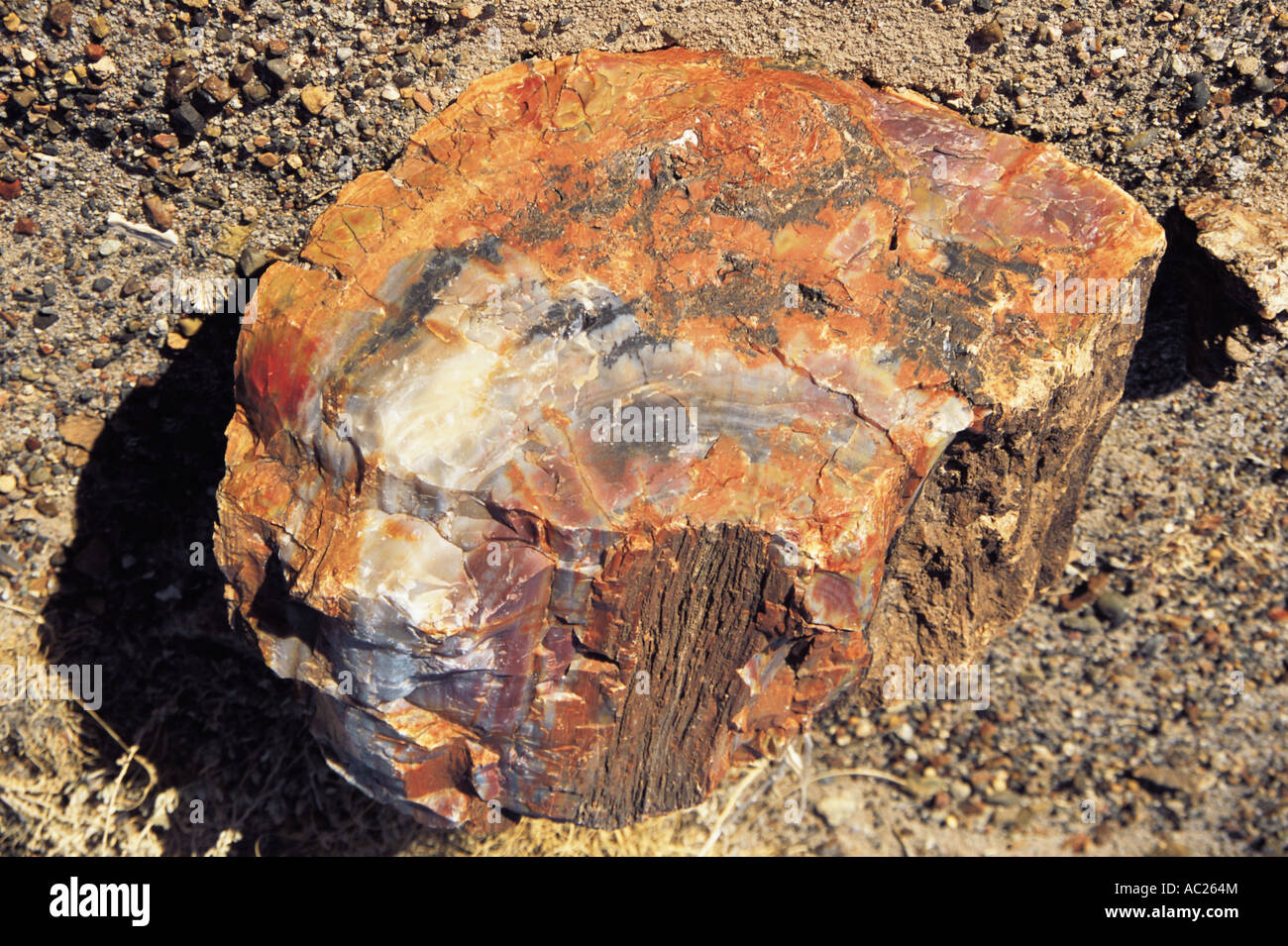 Multi colored rock Stock Photo - Alamy