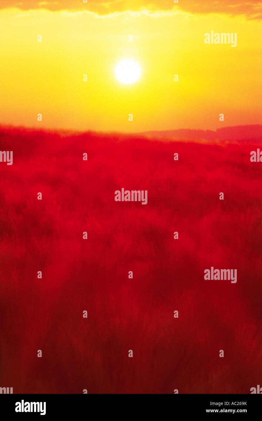 Bright red range Stock Photo - Alamy