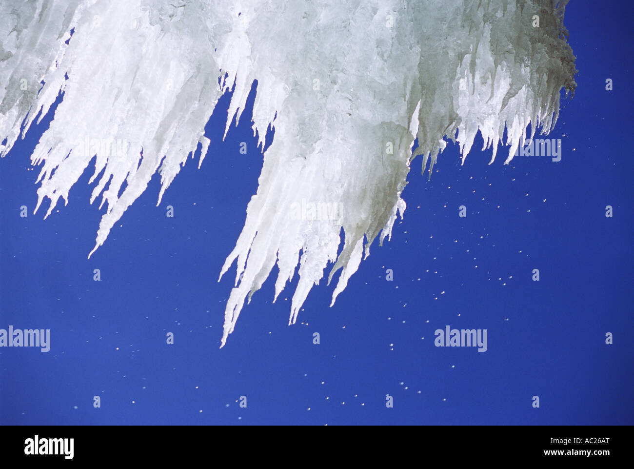 Icicles slowly melting Stock Photo - Alamy