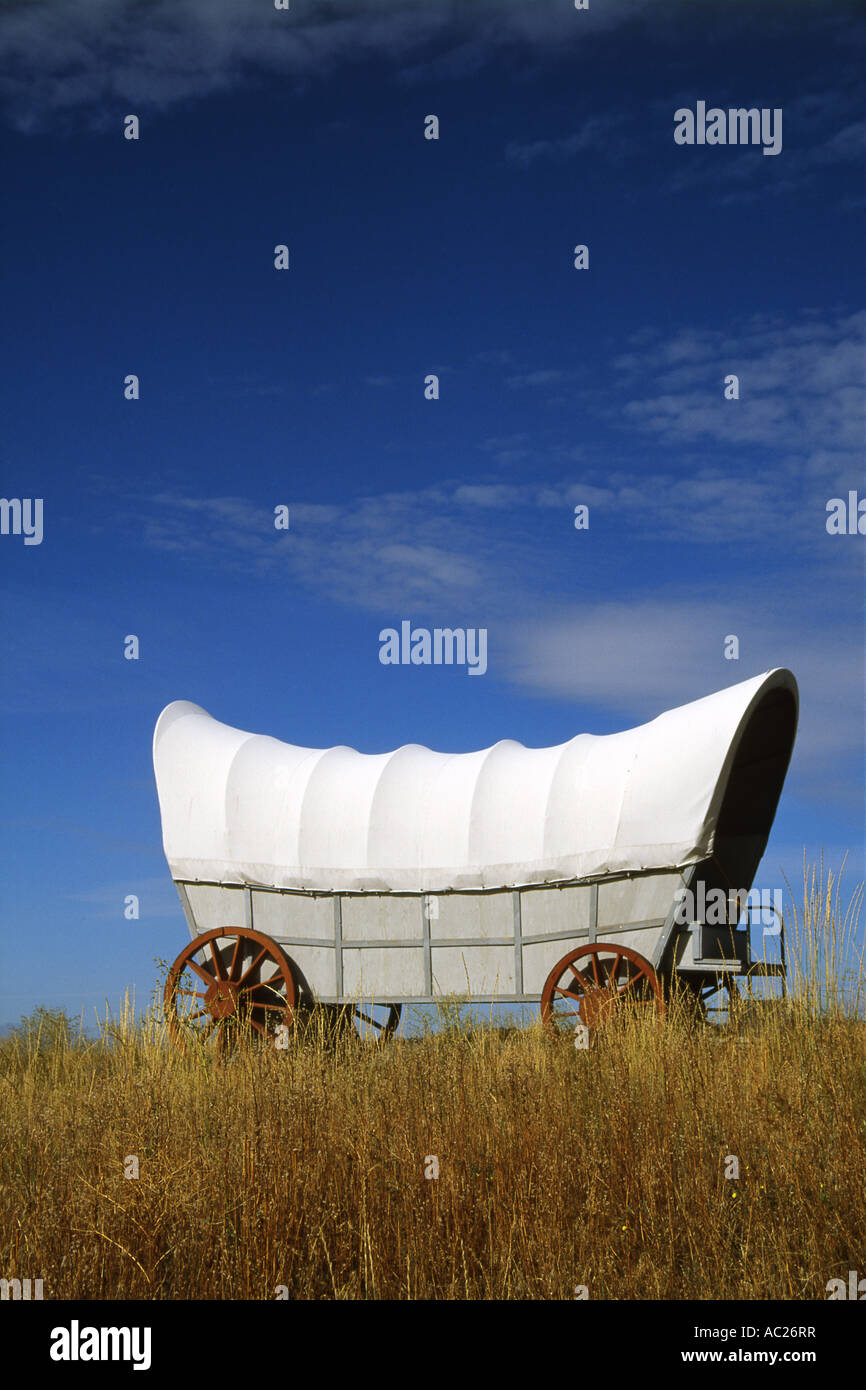 Old wagon in field hi-res stock photography and images - Alamy
