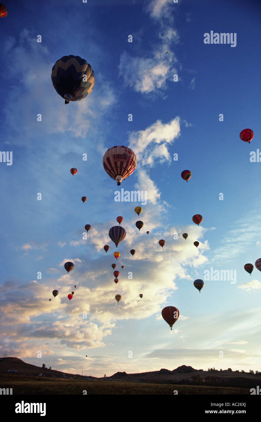 Large group of hot air balloons Stock Photo - Alamy