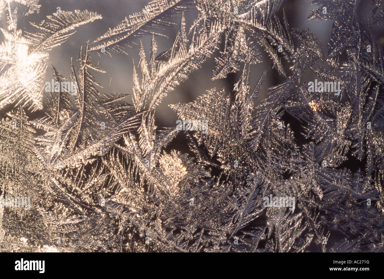 Frozen ice crystals Stock Photo - Alamy