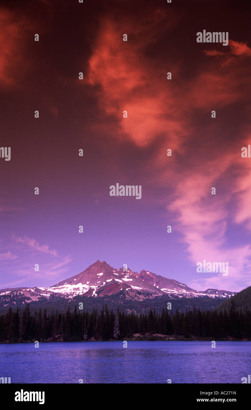 Forest lake evening view Stock Photo - Alamy