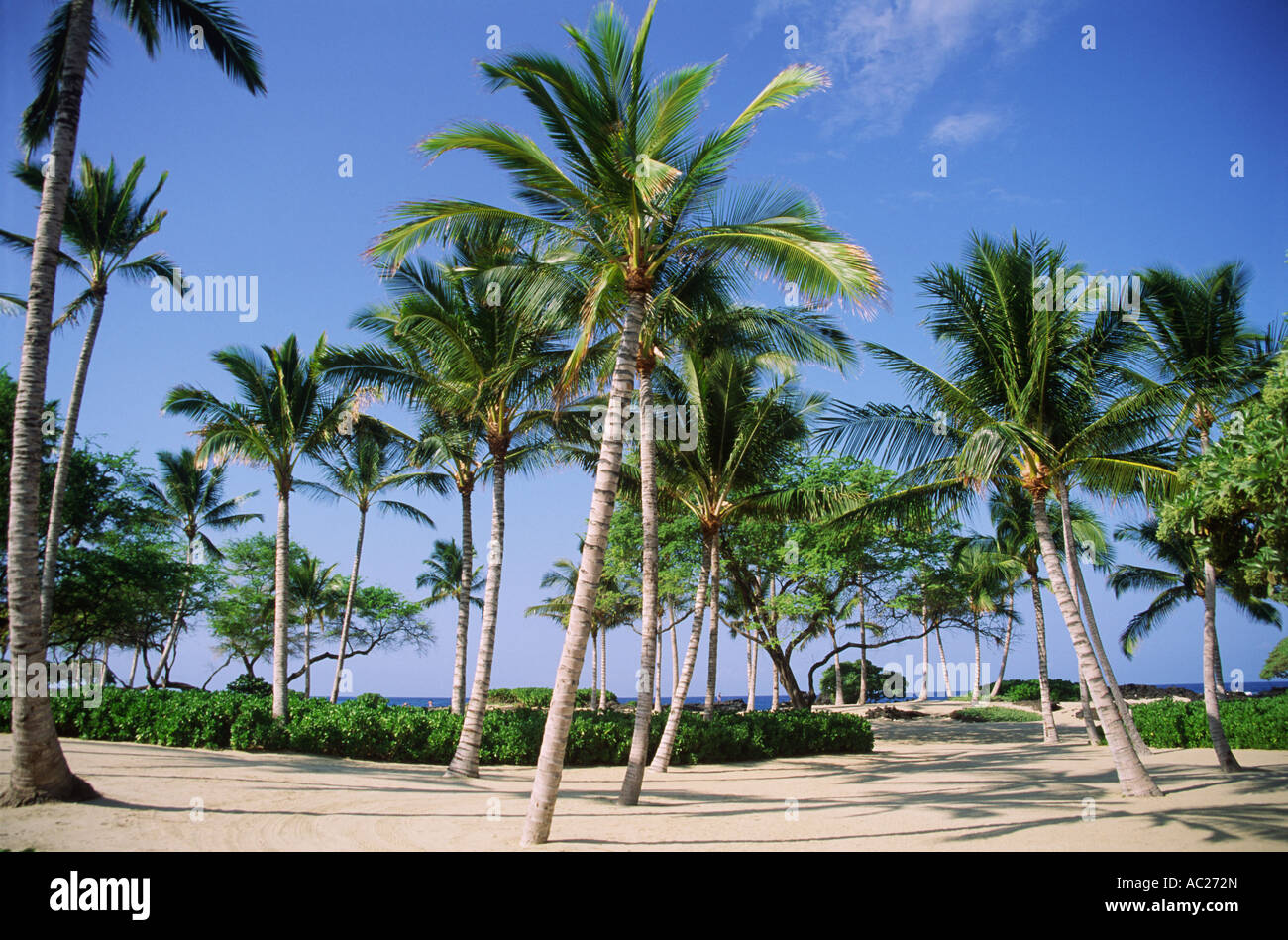 Paln hi-res stock photography and images - Alamy