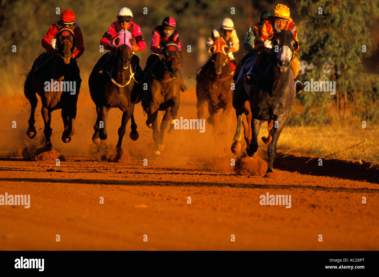 Red soil western australian outback hi-res stock photography and images ...