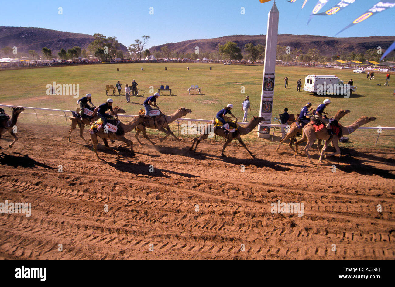 Camel race australia hi-res stock photography and images - Alamy