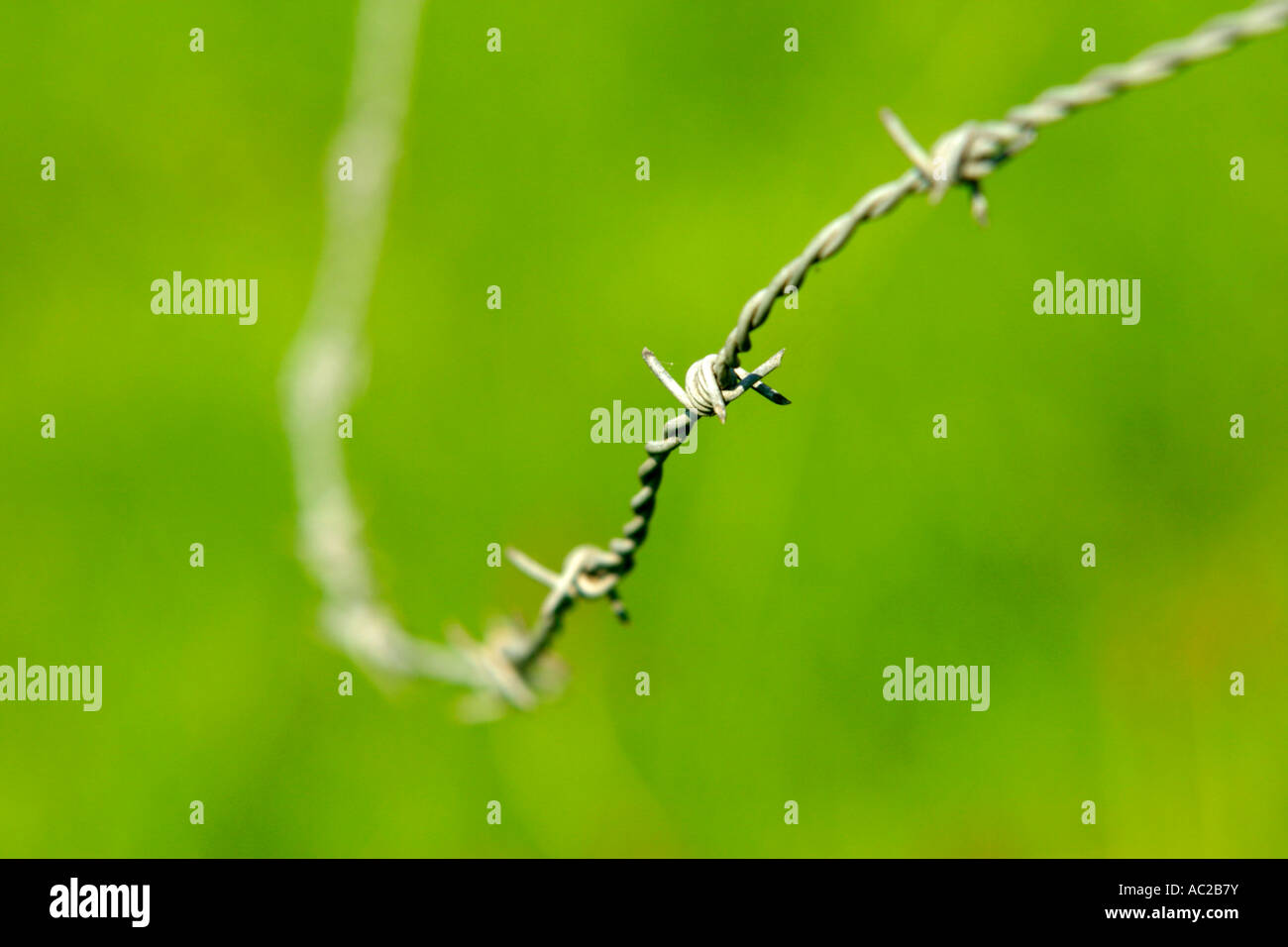 Thorny wire hi-res stock photography and images - Alamy