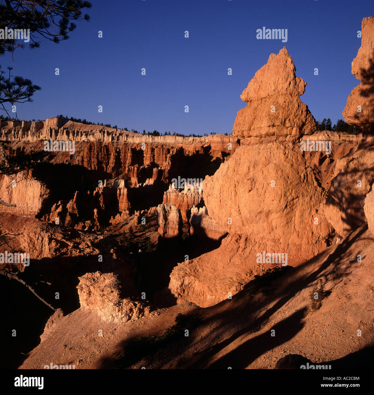 Hoodoos, Bryce Canyon, Utah, USA Stock Photo - Alamy