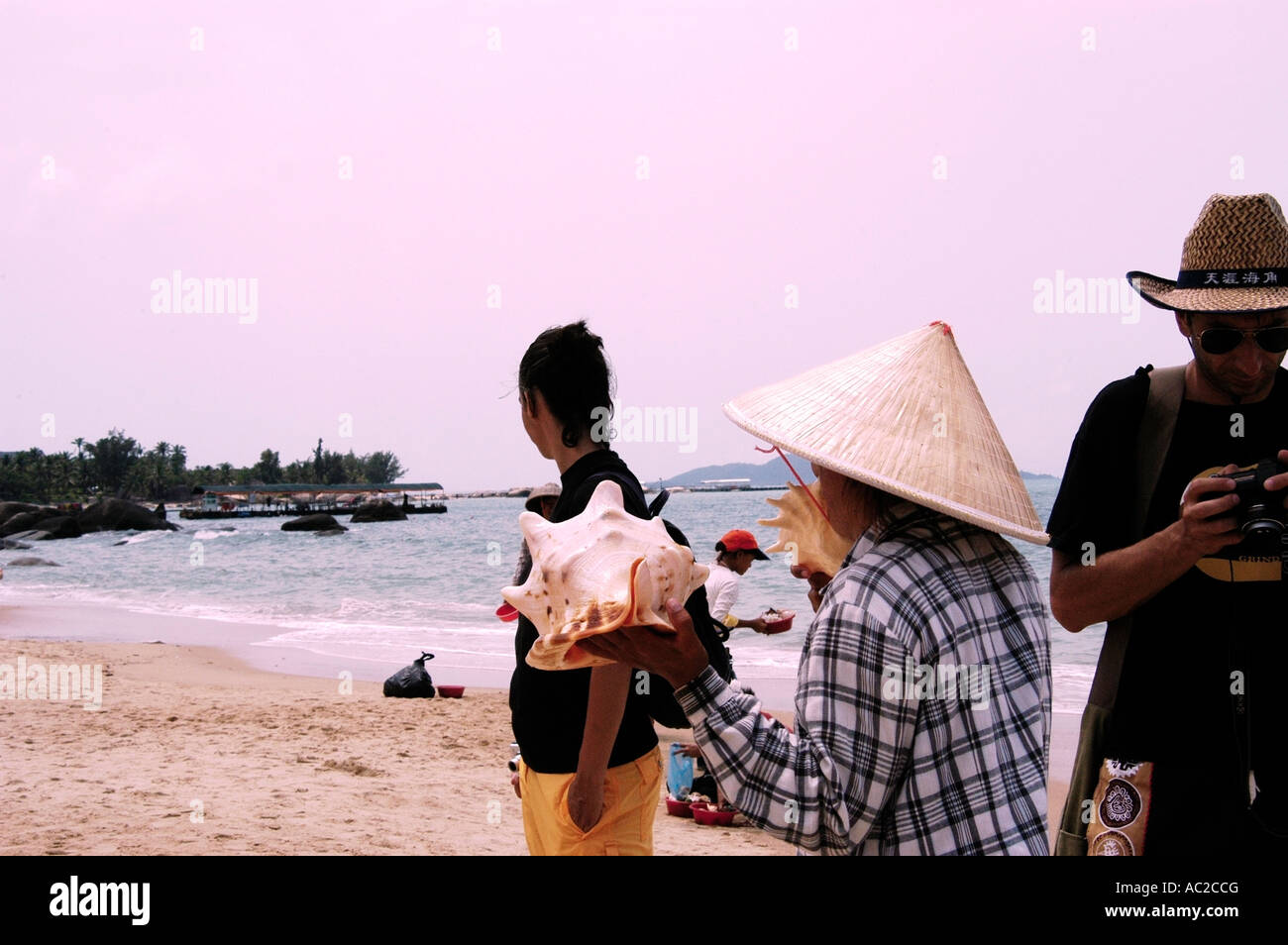 Marine, scenes, shell, seller, Travel, China Sea, Sanya, Water, Chinese ...