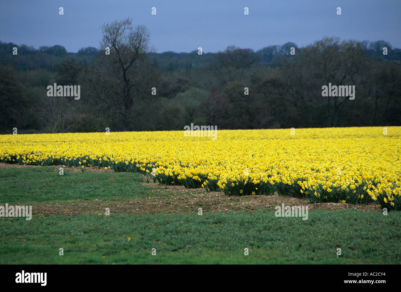 Chilbolton village hi-res stock photography and images - Alamy
