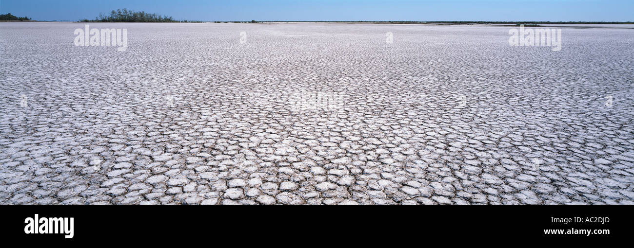 Australian mud flats hi-res stock photography and images - Alamy