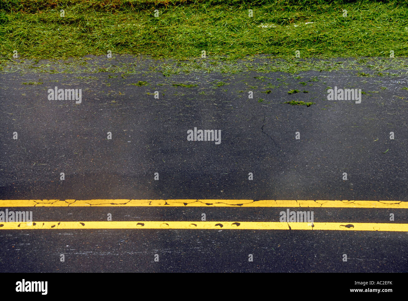 Segmented segment divided hi-res stock photography and images - Alamy