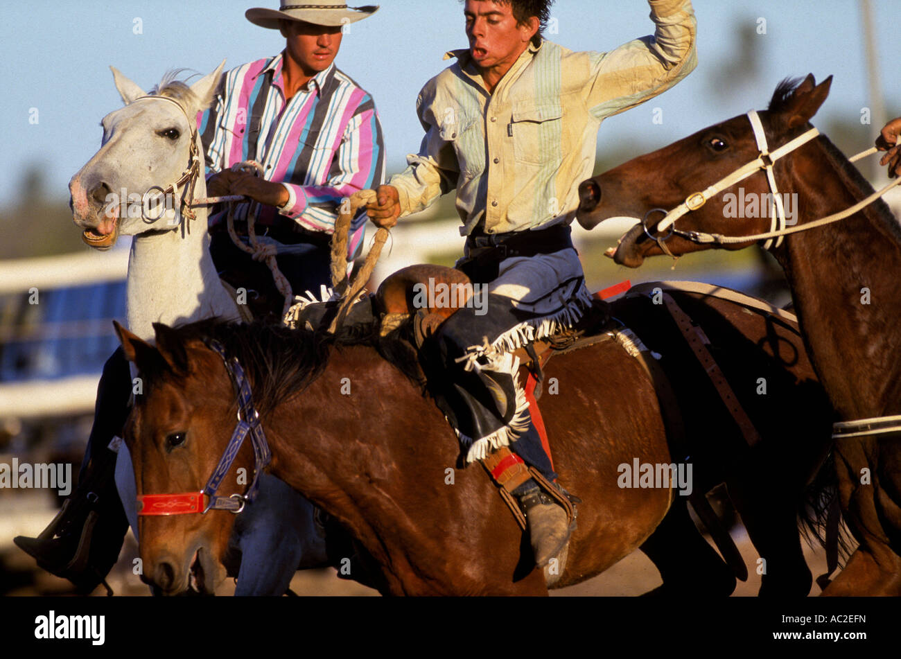 Normanton Rodeo, Queensland, Australia, Horizontal Stock Photo - Alamy