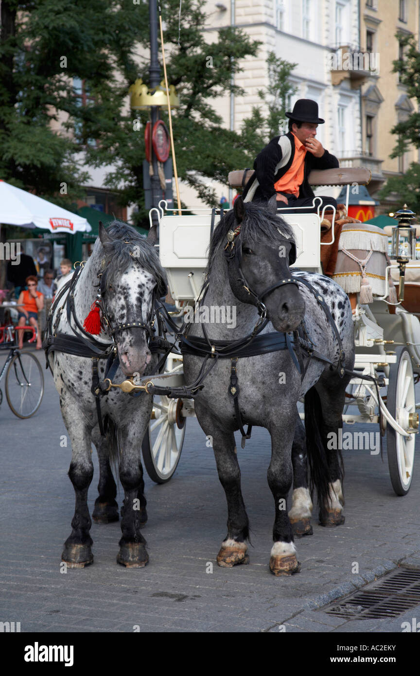 Horse drawn carriage driver hi-res stock photography and images - Alamy