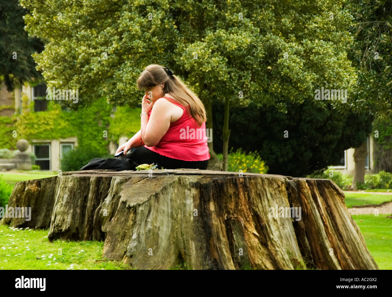 Big young woman sitting on a tree stump Stock Photo - Alamy