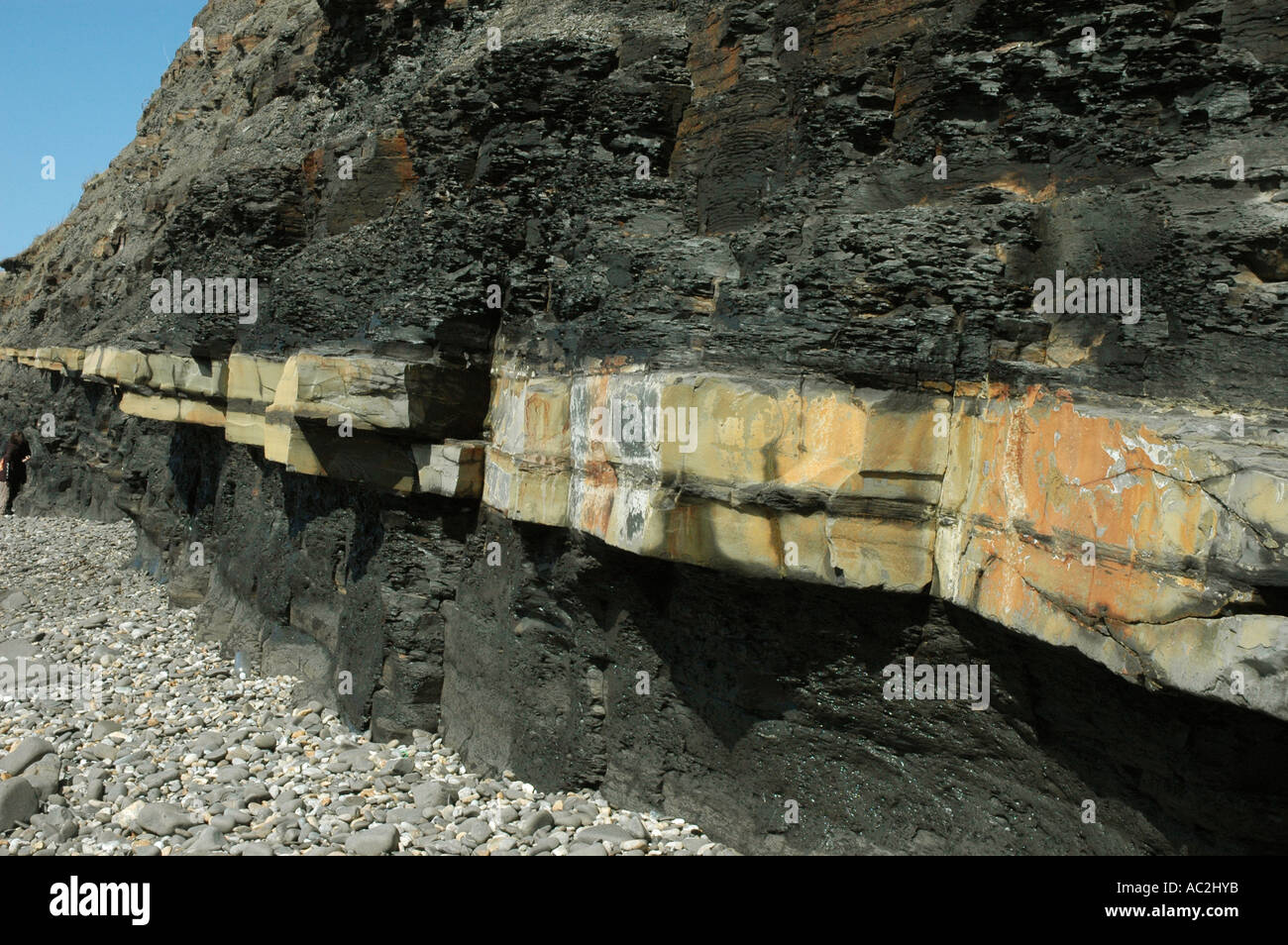 Strong rock layer running through cliffs at Kimmeridge Bay, Dorset ...