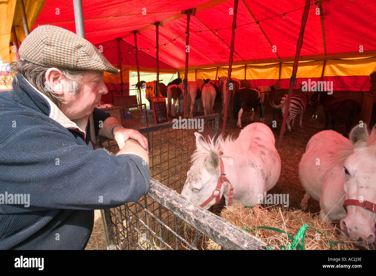 Circus Owner High Resolution Stock Photography and Images - Alamy