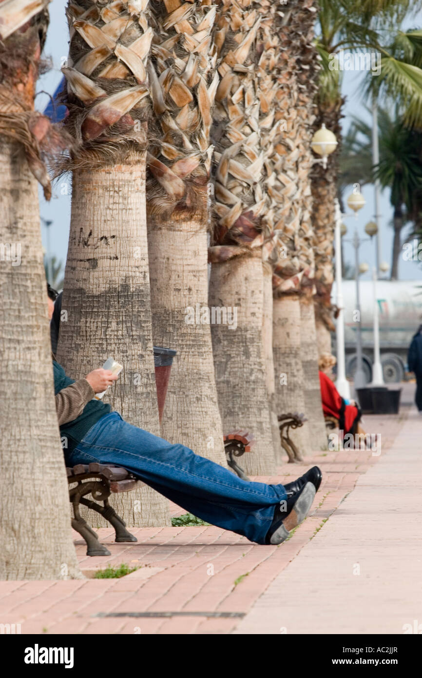 Man's Legs Sticking Out from Row of Trees Stock Photo - Alamy