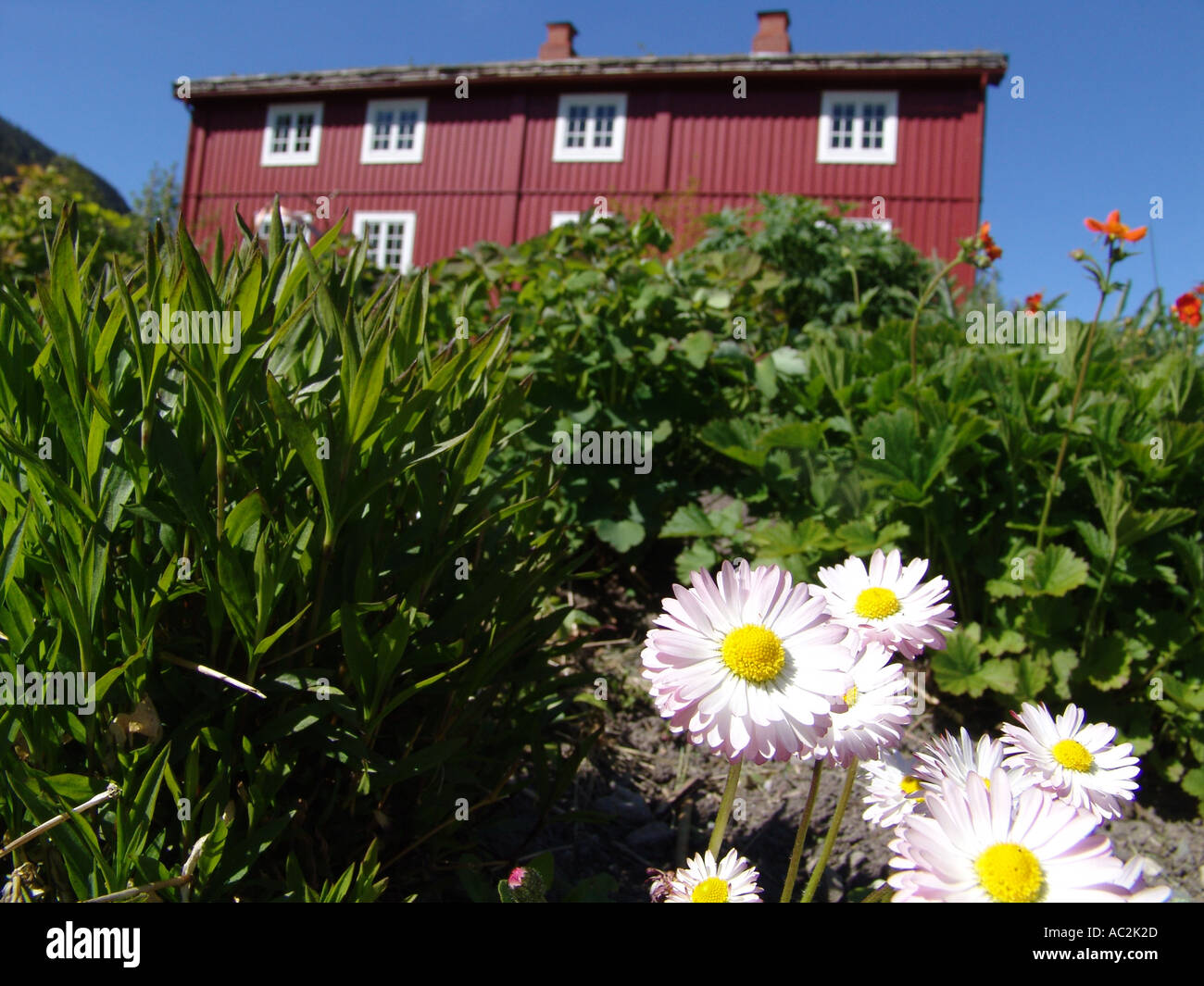 Bull museum Rendalen Norway Stock Photo - Alamy