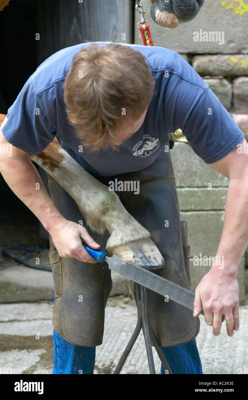 Horse and farrier hi-res stock photography and images - Alamy