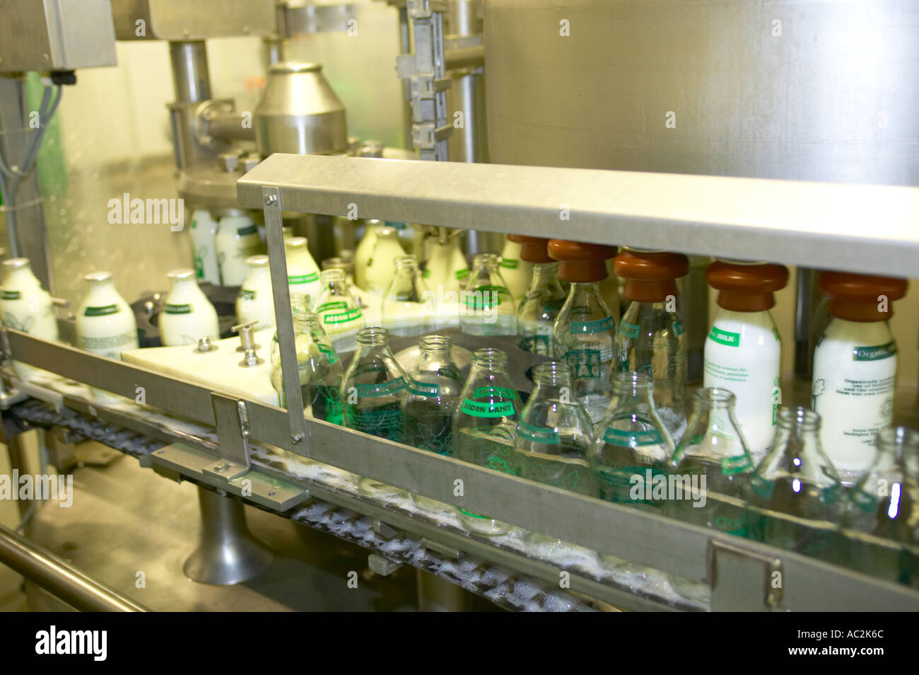 Milk Bottle filling machine at bottling plant of Acorn Organic Dairy ...