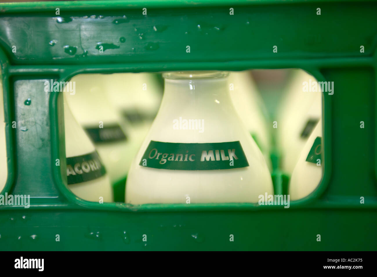Bottle of milk from Acorn Organic Dairy Gawthorpe Farm County Durham ...
