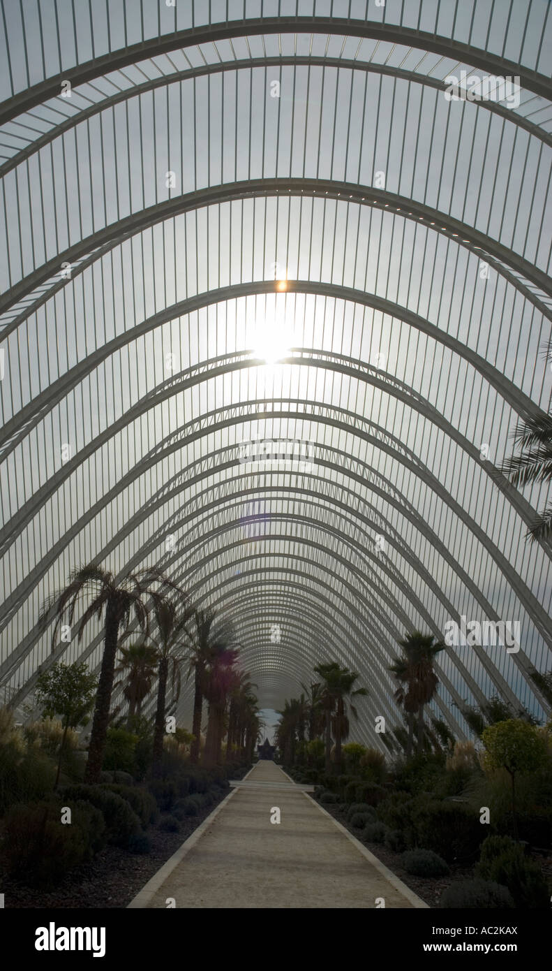 L'Umbracle in the City of Arts and Sciences Stock Photo - Alamy