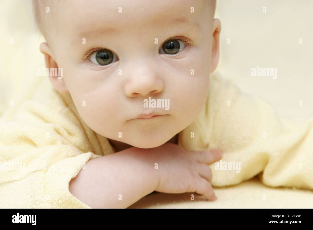 Shoulder fragment hi-res stock photography and images - Alamy