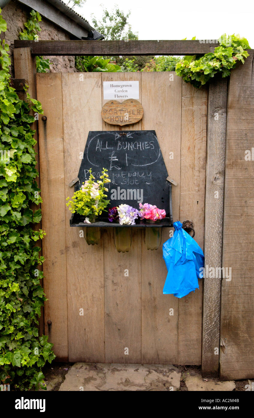 Honesty stall selling bunches of flowers on garden gate at Hay on Wye ...