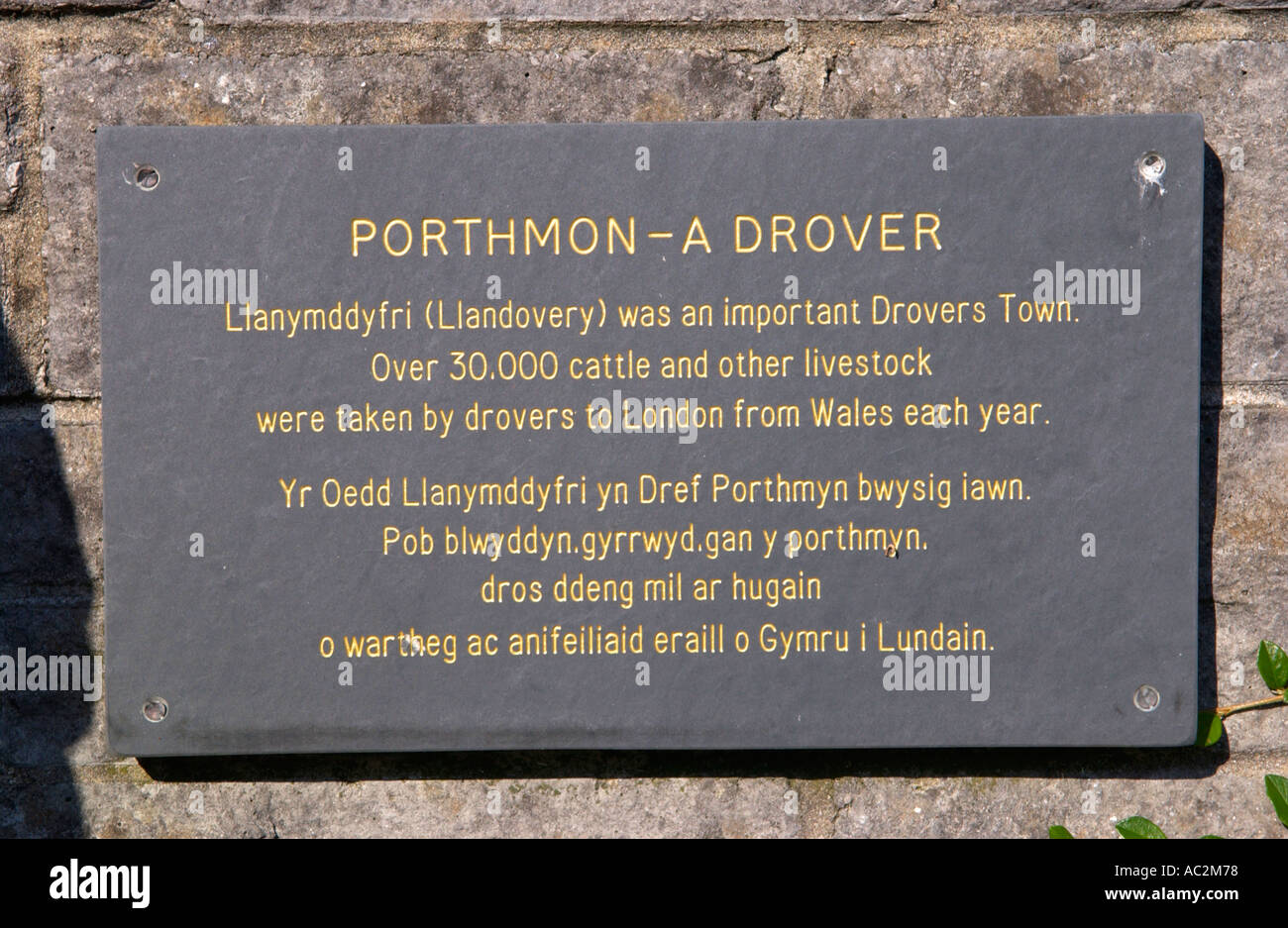 Welsh cattle drover uk hi-res stock photography and images - Alamy