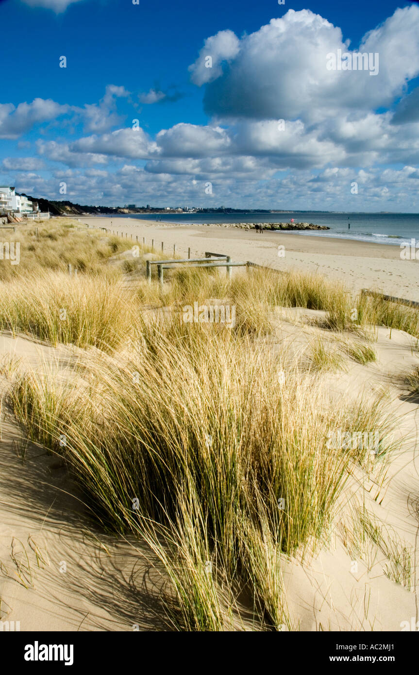 Stabilizing Sand Dunes High Resolution Stock Photography and Images - Alamy