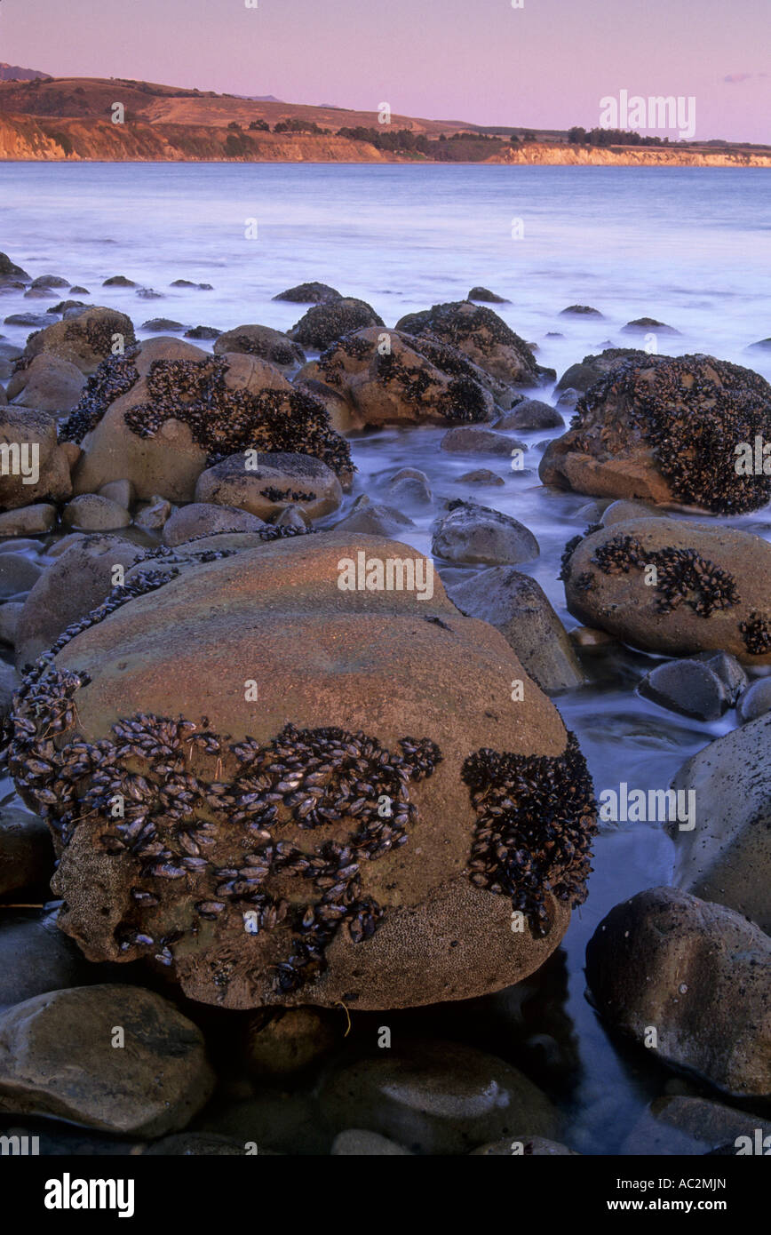 El capitan beach state park hi-res stock photography and images - Alamy