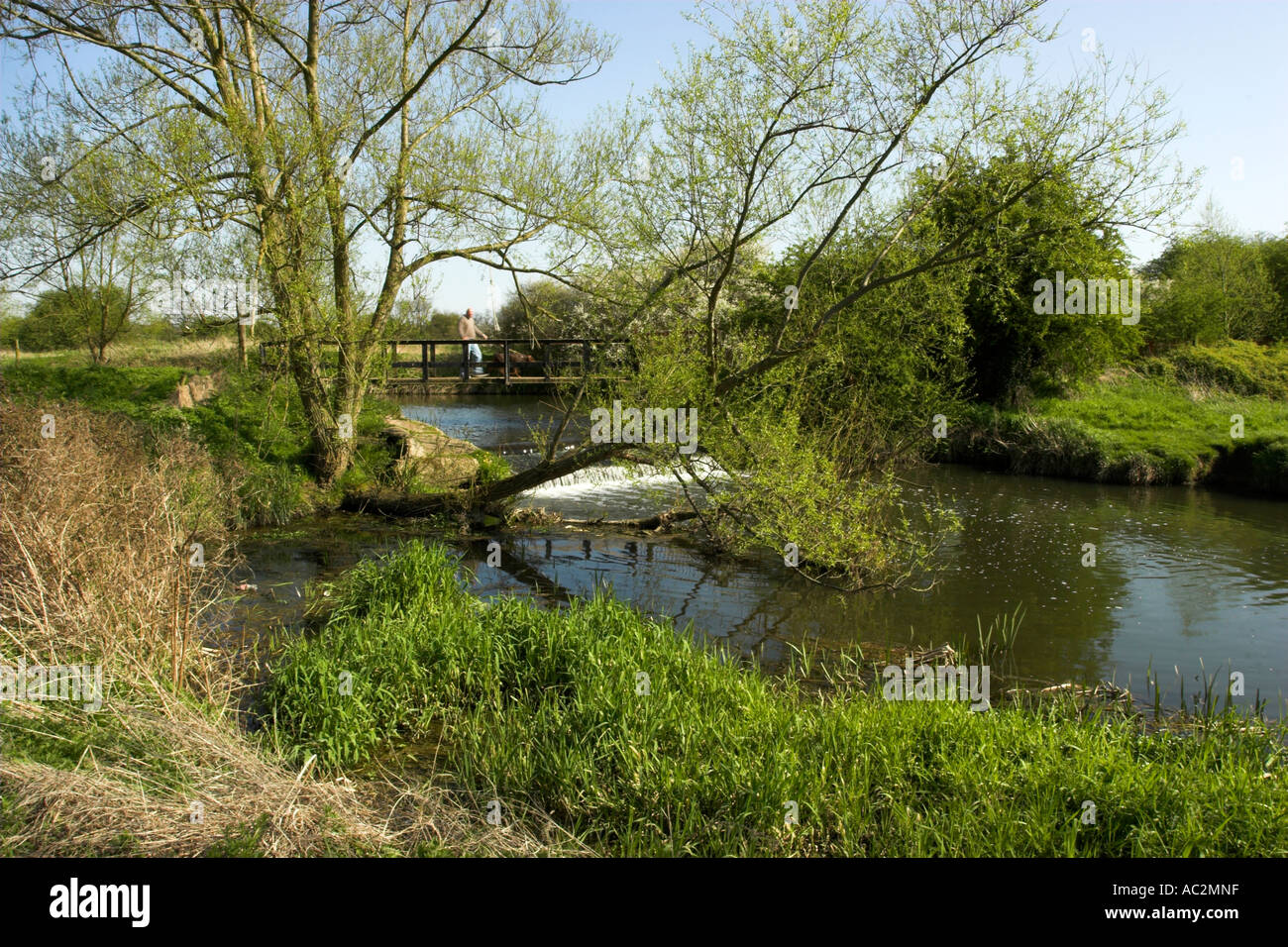Peaceful section of the River Stort in Hertfordshire. England Stock ...
