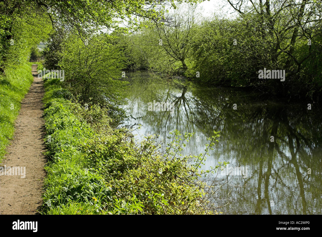 Peaceful section of the river Stort near Sawbridgeworth, Hertfordshire ...