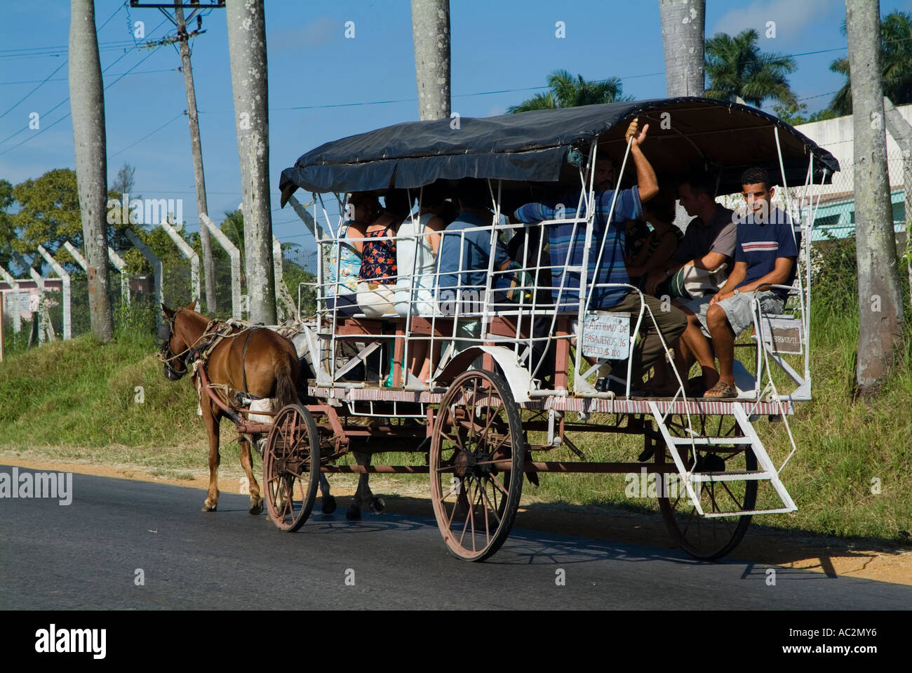Horse pulling a taxi cart filled with people on a road outside Pinar ...