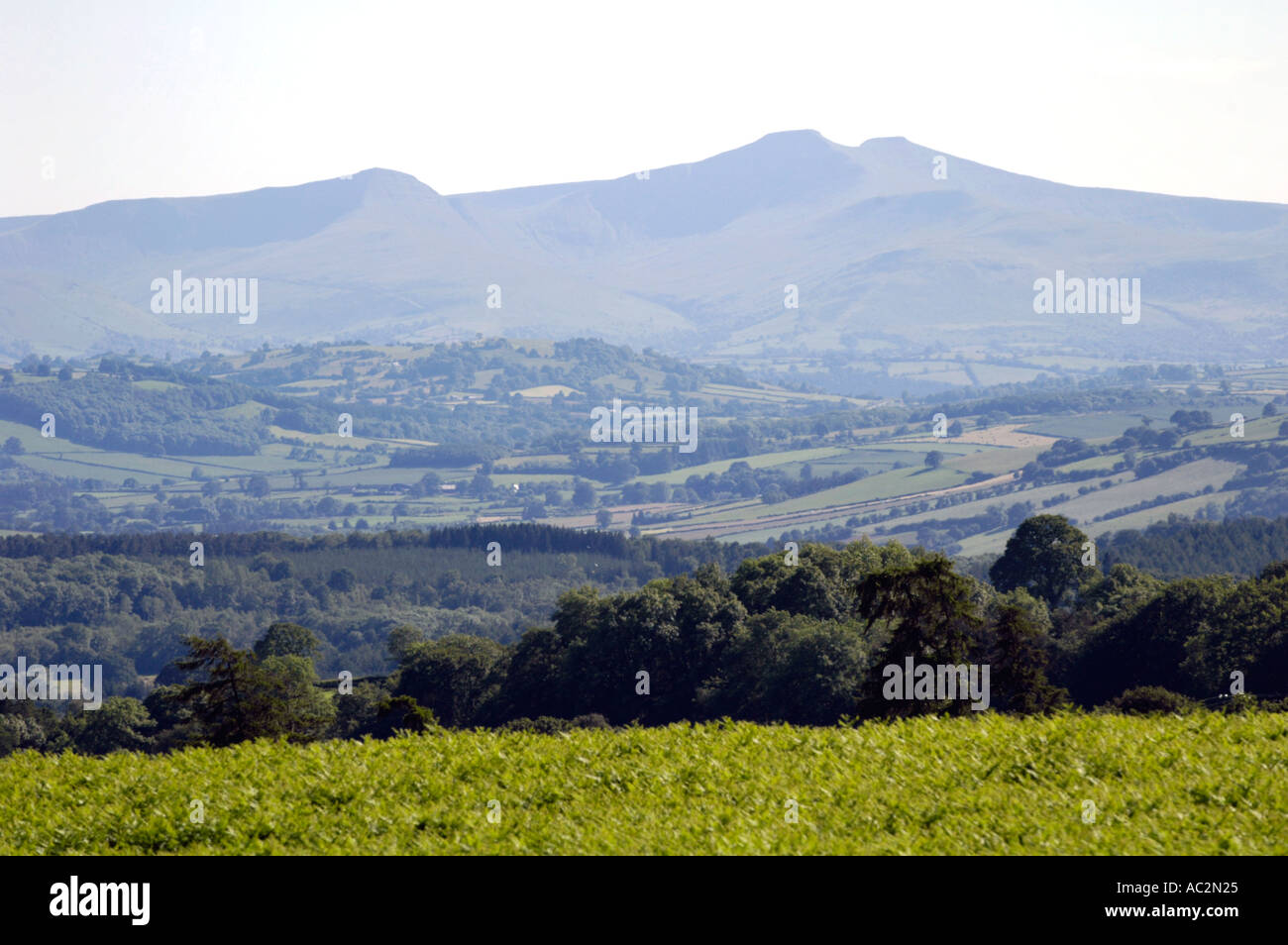 The Brecon Beacons viewed from The Begwns between Hay on Wye and ...
